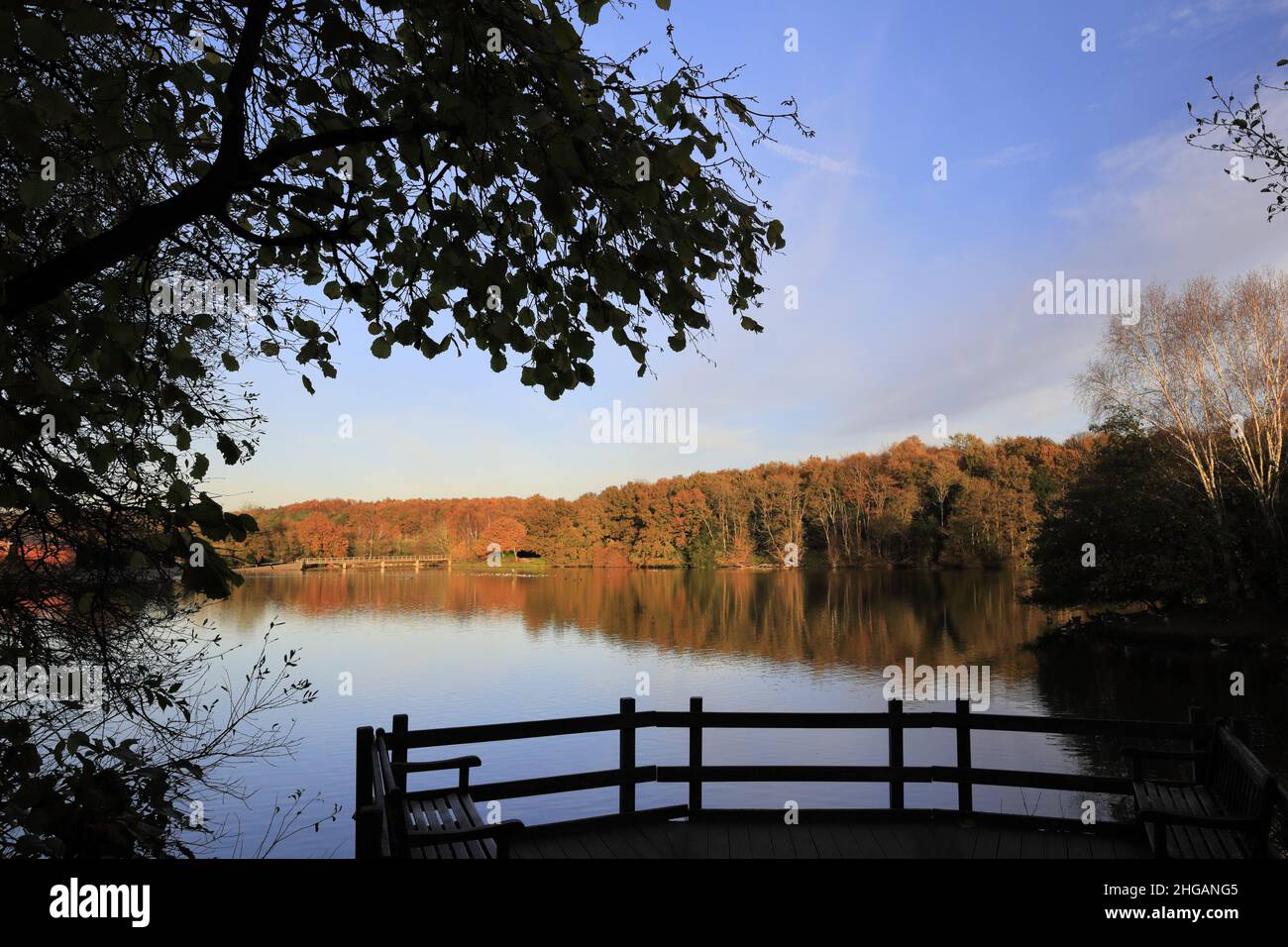 Autumn view of the lake at Rufford Abbey near Ollerton town ...