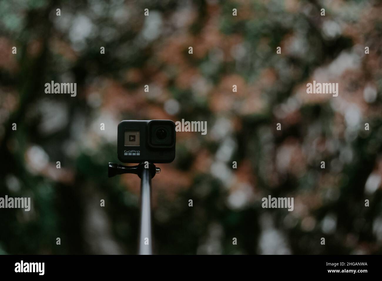 Gopro forest hi-res stock photography and images - Alamy