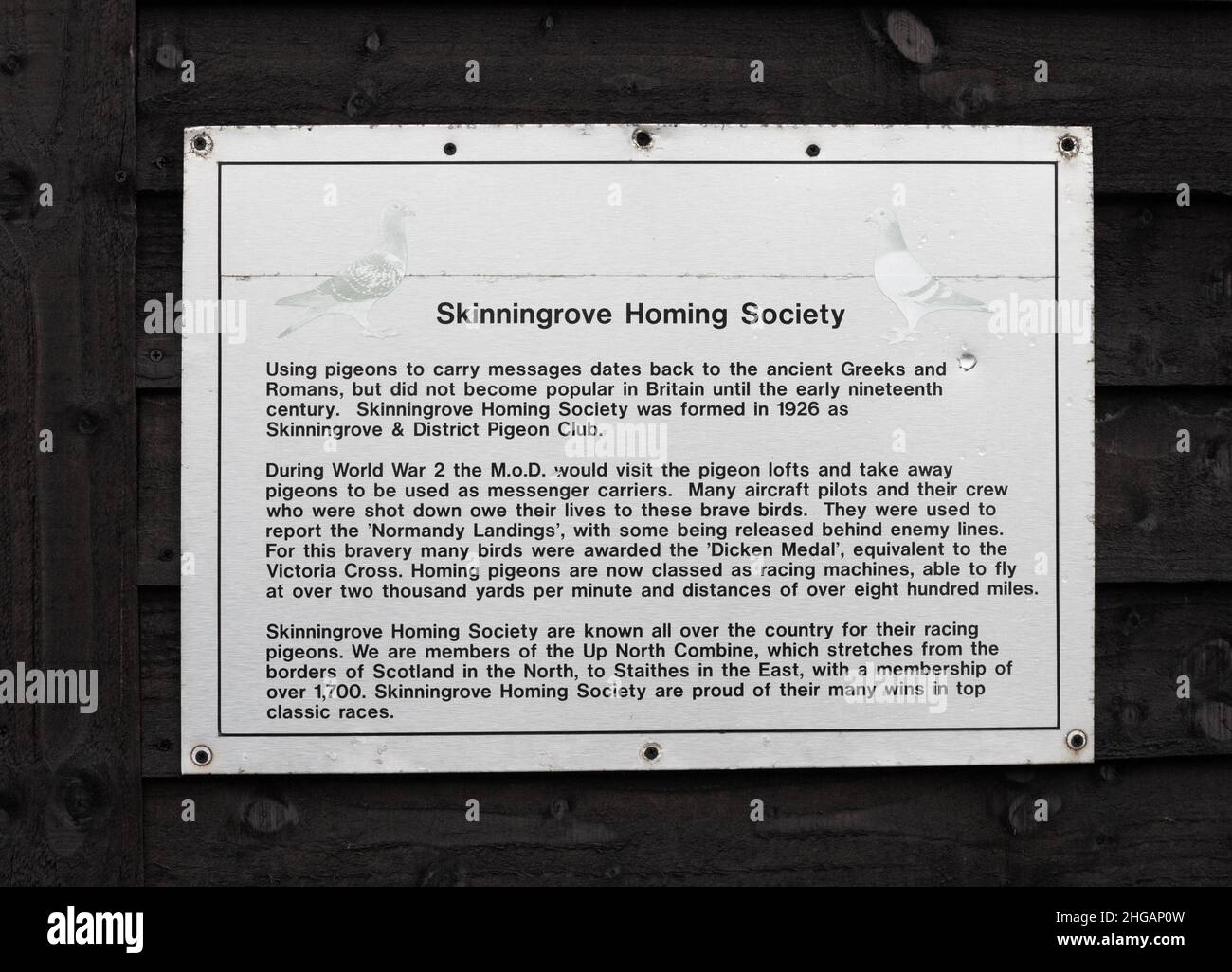 Sign outside pigeon homing society club in Skinningrove on the North ...