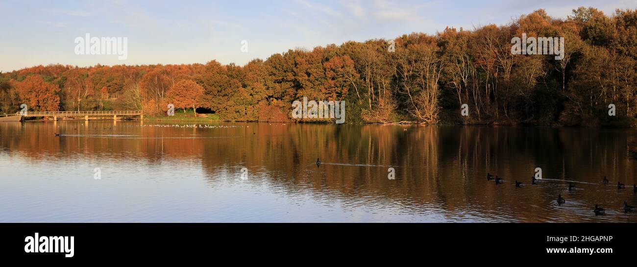 Autumn view of the lake at Rufford Abbey near Ollerton town ...
