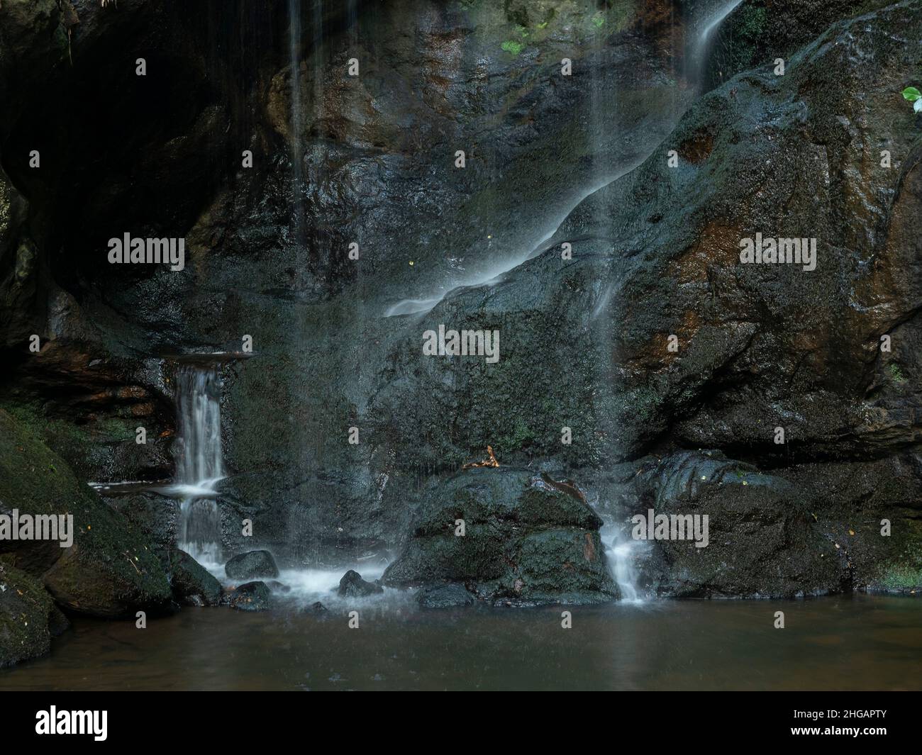 The scenic woodland valley of Roughting Linn waterfall, near Lowick and ...