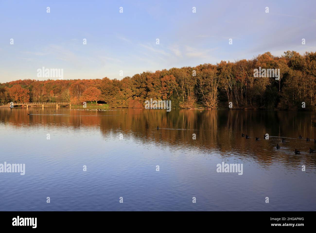 Autumn view of the lake at Rufford Abbey near Ollerton town ...