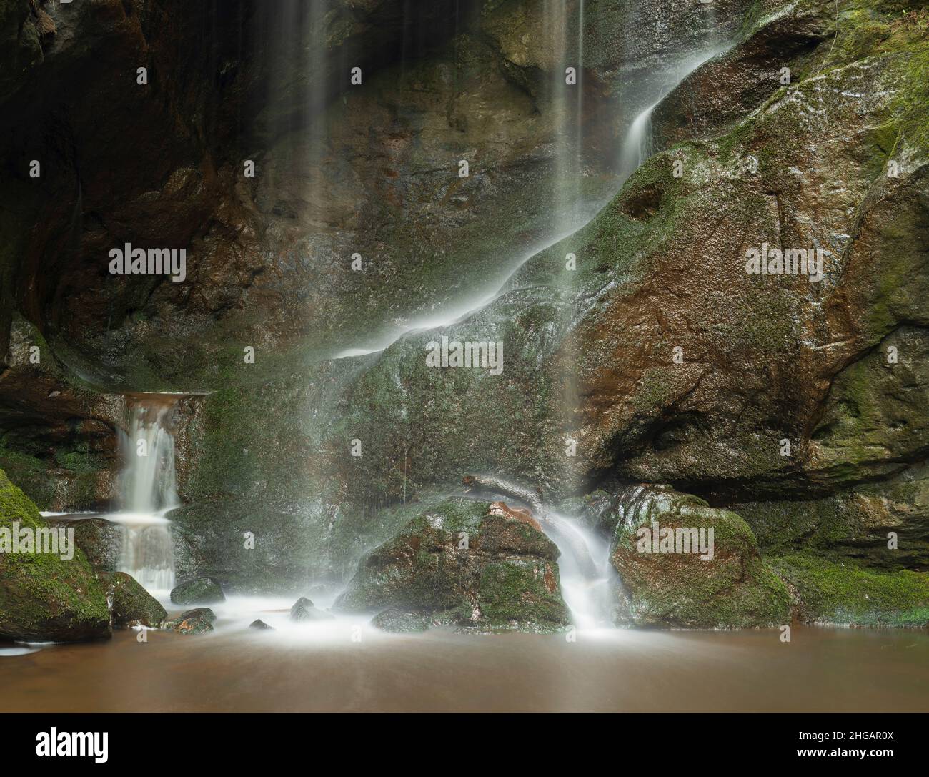 The scenic woodland valley of Roughting Linn waterfall, near Lowick and ...