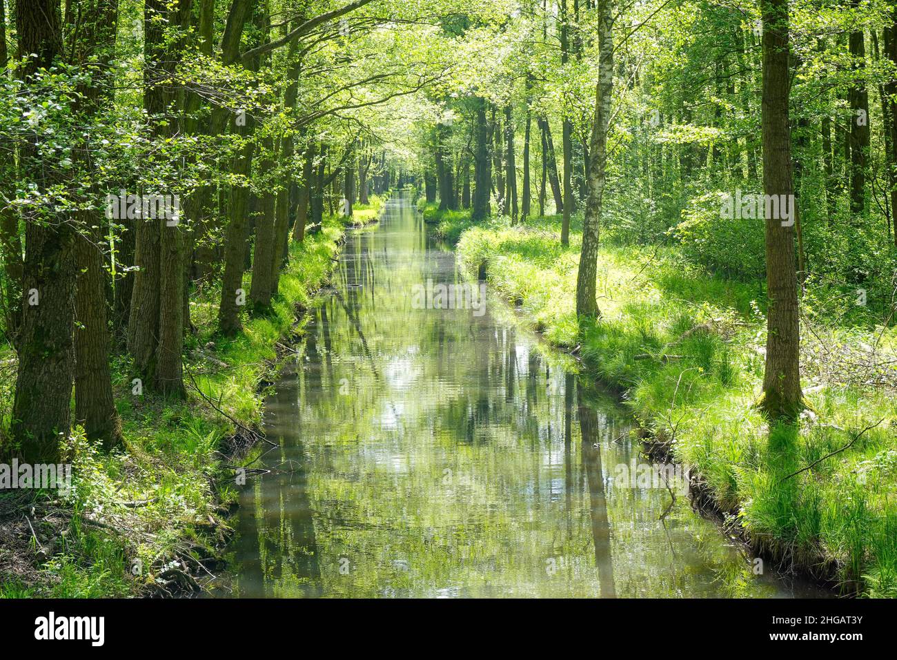 Verwunderlich Lehde Lbbenau Spreewald Ebenbild
