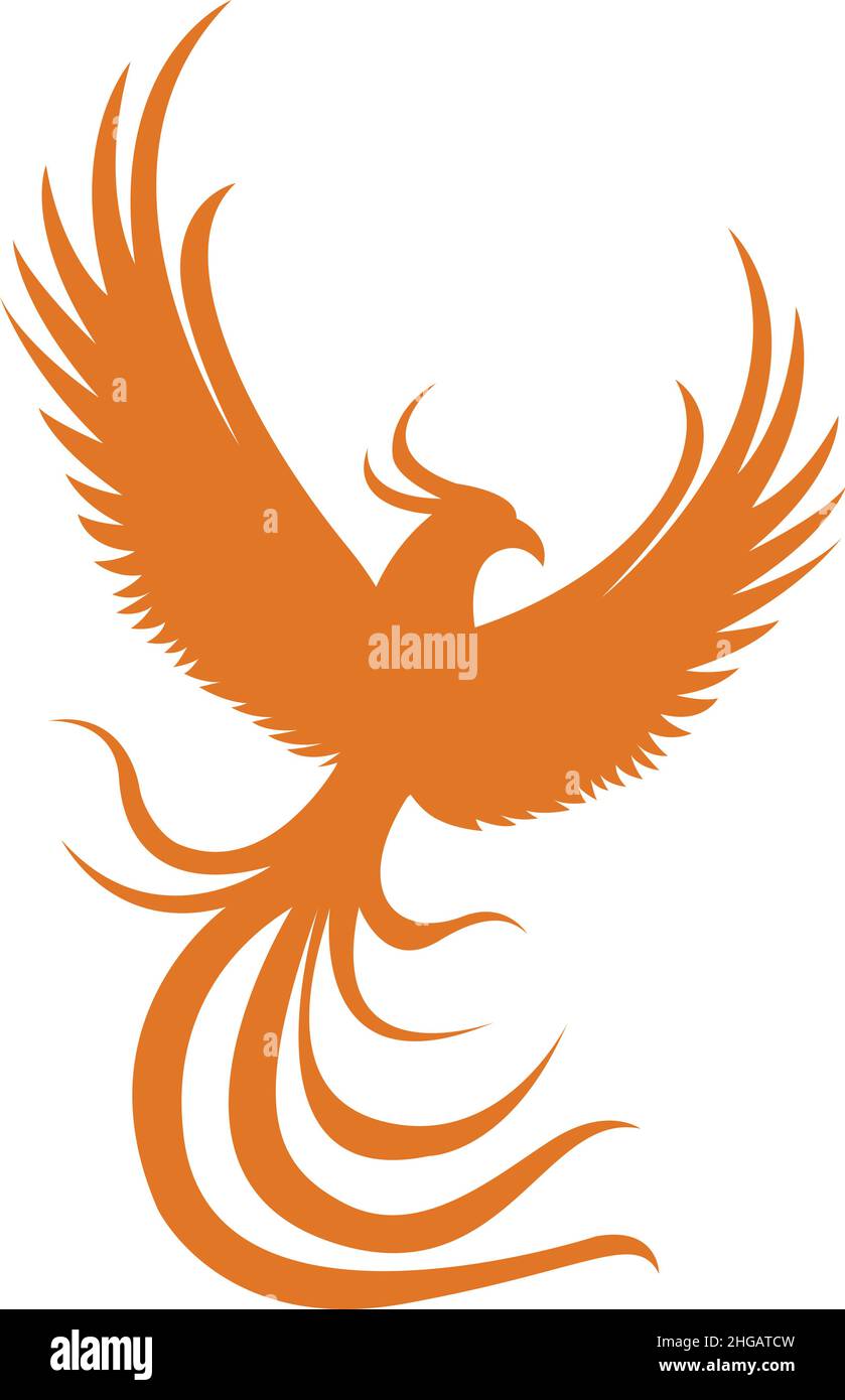 phoenix orange flying Stock Vector Image & Art - Alamy