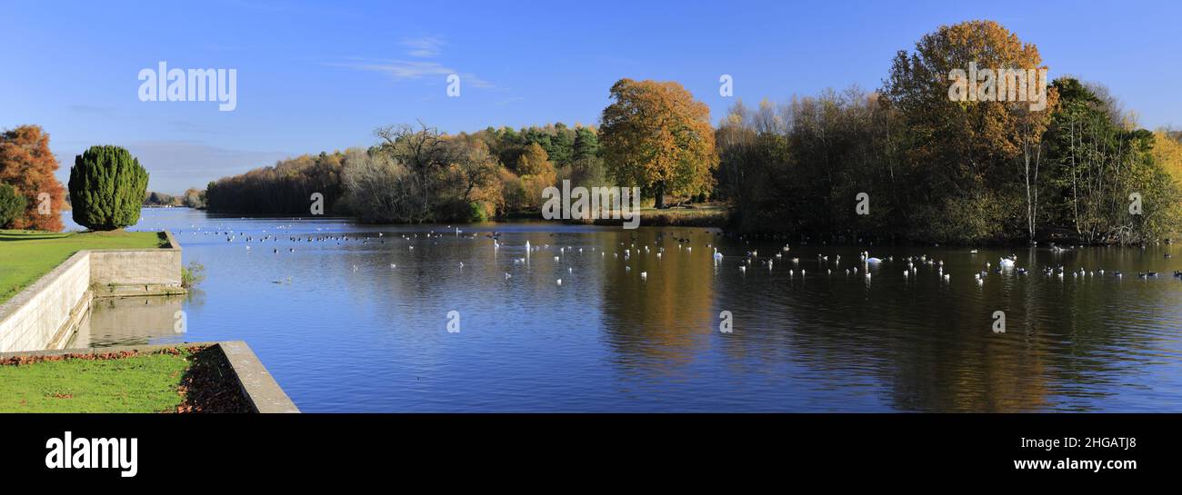 Autumn colours over the lake at Clumber Park, Nottinghamshire, England ...