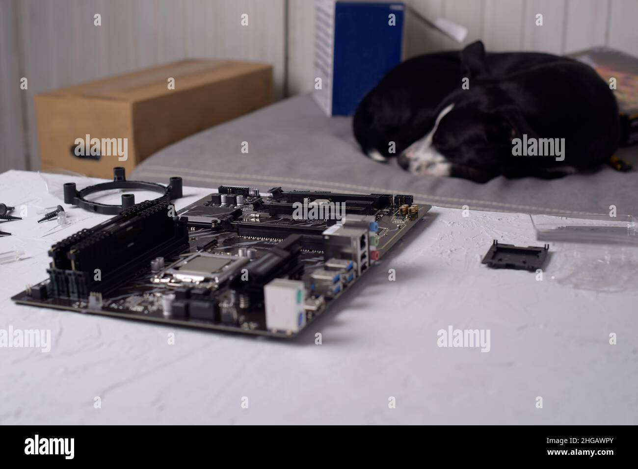 Technician repairing broken pc desktop hi-res stock photography and ...