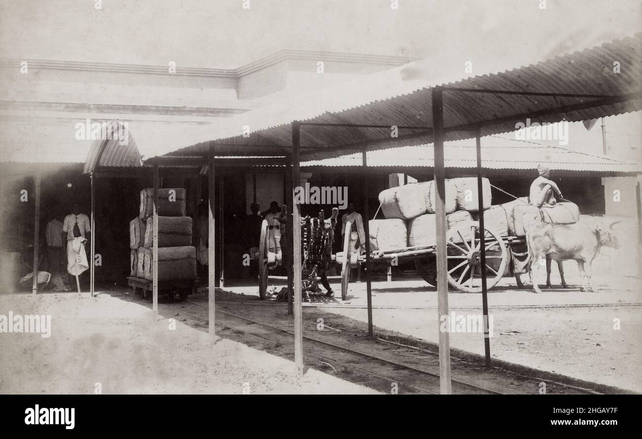 Vintage late 19th or early 20th century photograph c.1890's - 1910 ...