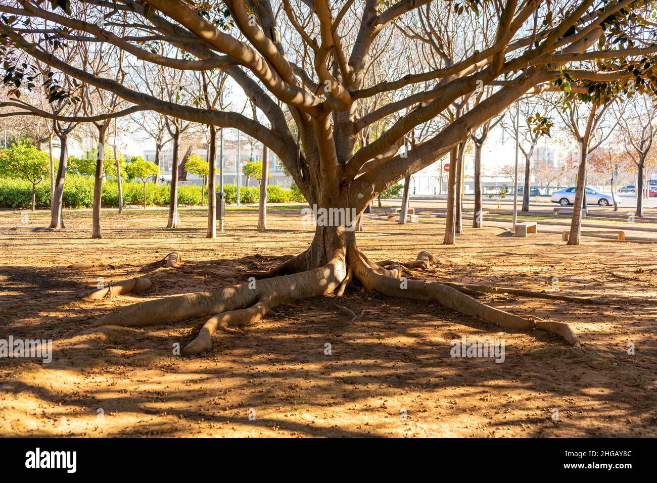 Neglected garden pond hi-res stock photography and images - Alamy