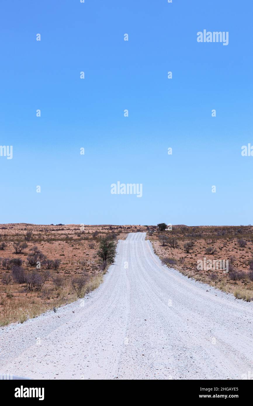 White dirt roads of the Kgalagadi Stock Photo - Alamy