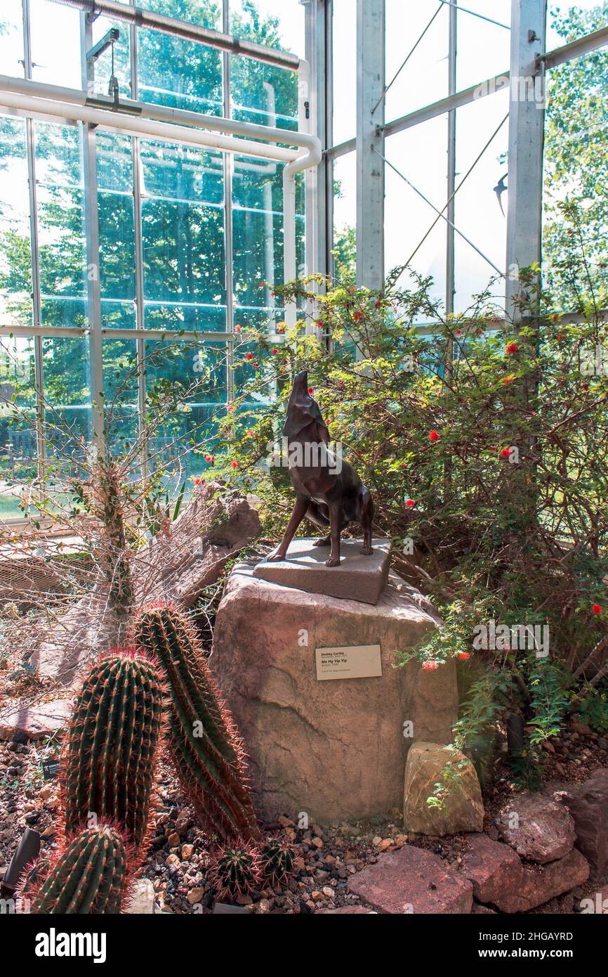 Donnagott Coyote Statue