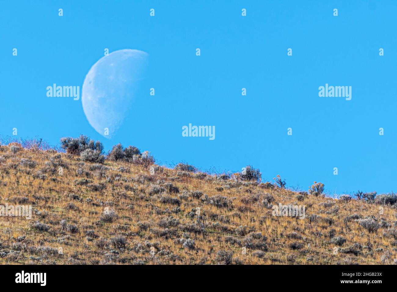 Gothic moon nobody hi-res stock photography and images - Alamy