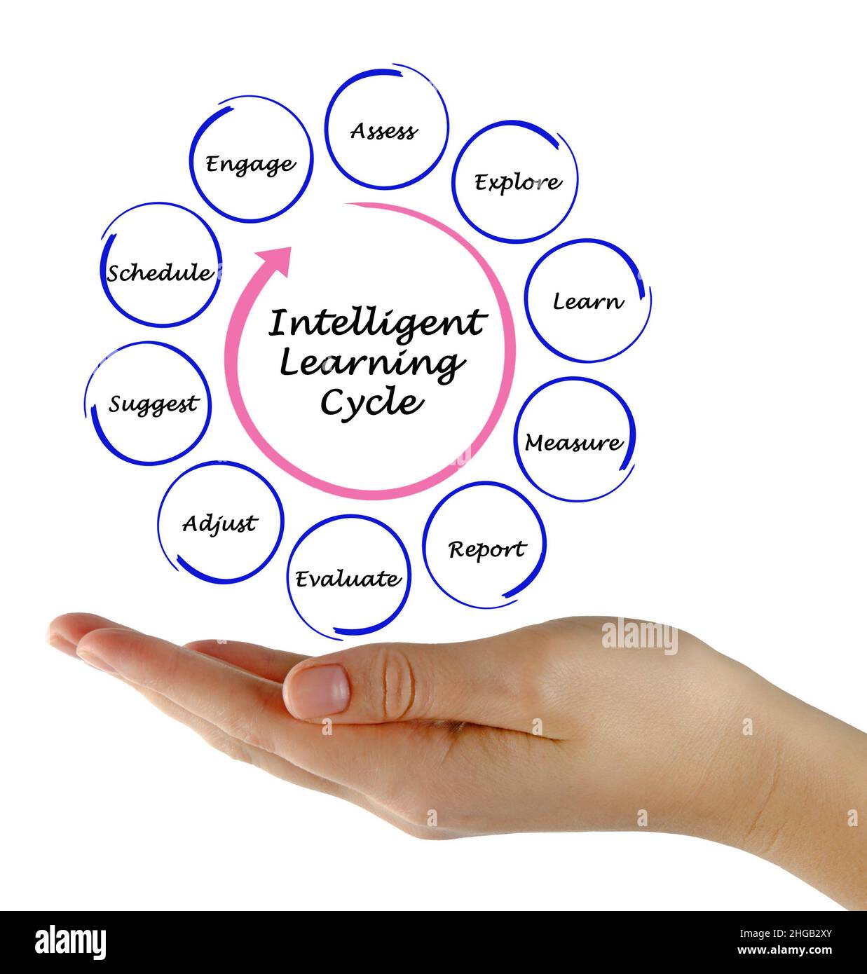 Stages of learning hi-res stock photography and images - Alamy