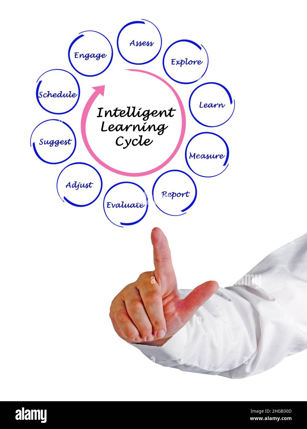 Stages of Intelligent Learning Cycle Stock Photo - Alamy