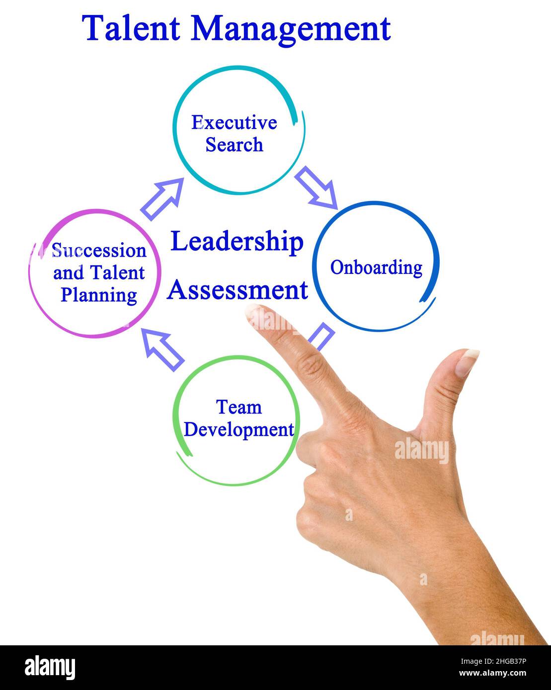 Four Components of Talent Management Stock Photo - Alamy