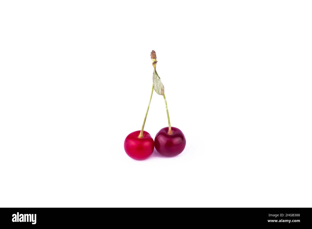 Cherry isolated on white background Stock Photo - Alamy
