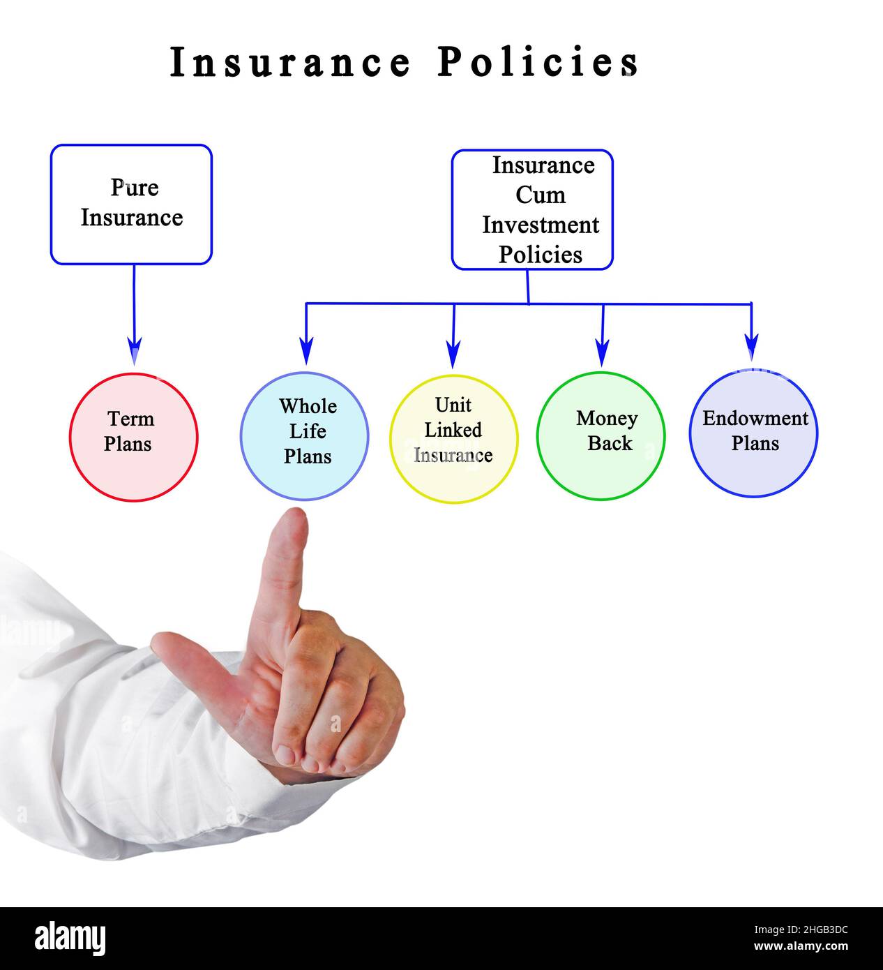 Five types of Insurance Policies Stock Photo - Alamy