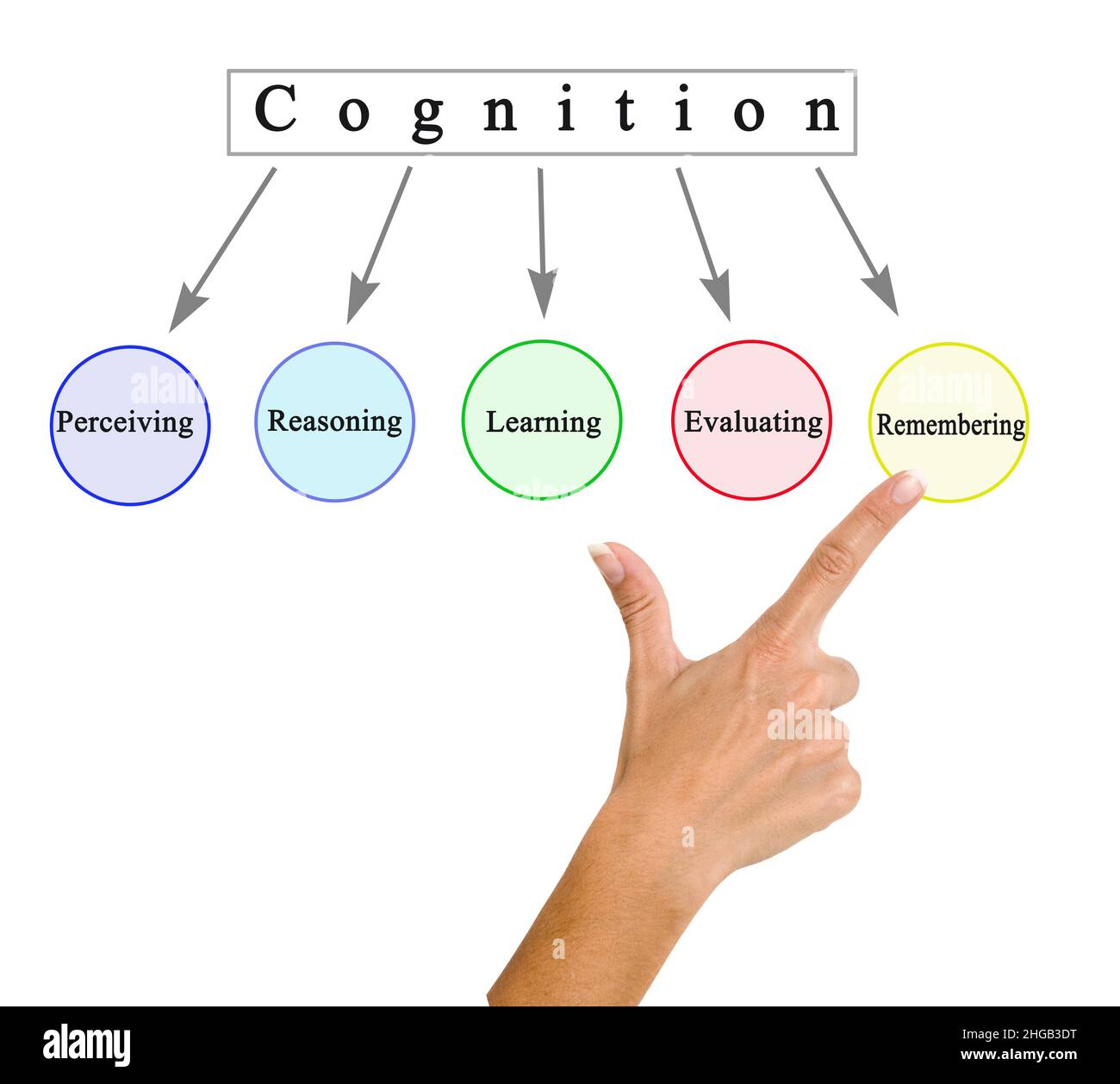 Presenting Five Components of Cognition Stock Photo - Alamy
