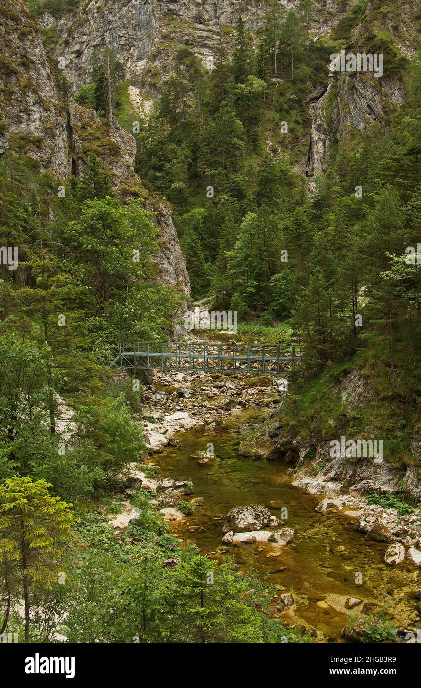 Footbridge over the river Erlauf in Oetschergraben near to the Oetscher ...