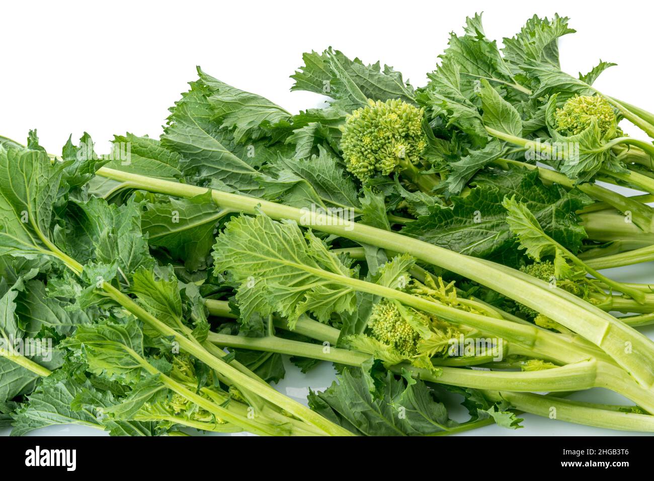 Fresh turnip tops, italian cime di rapa, isolated on white background ...