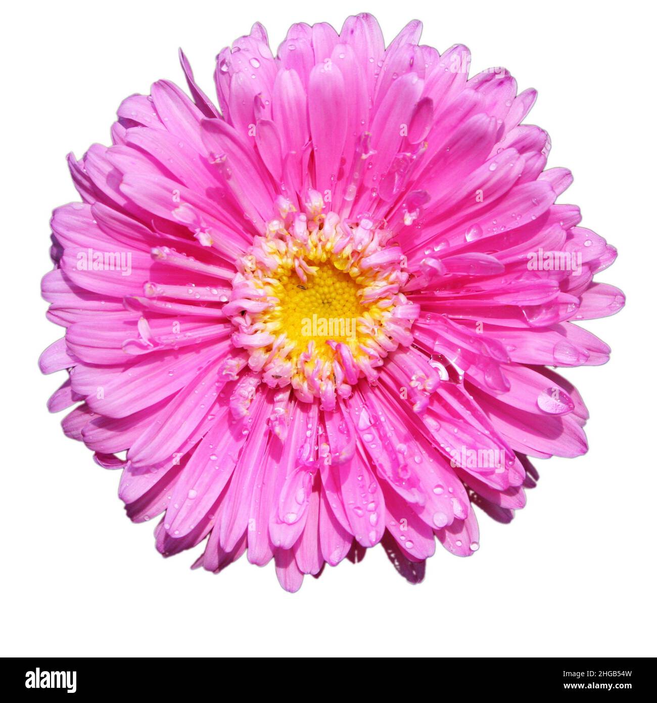 Autumn in austria Cut Out Stock Images & Pictures - Alamy