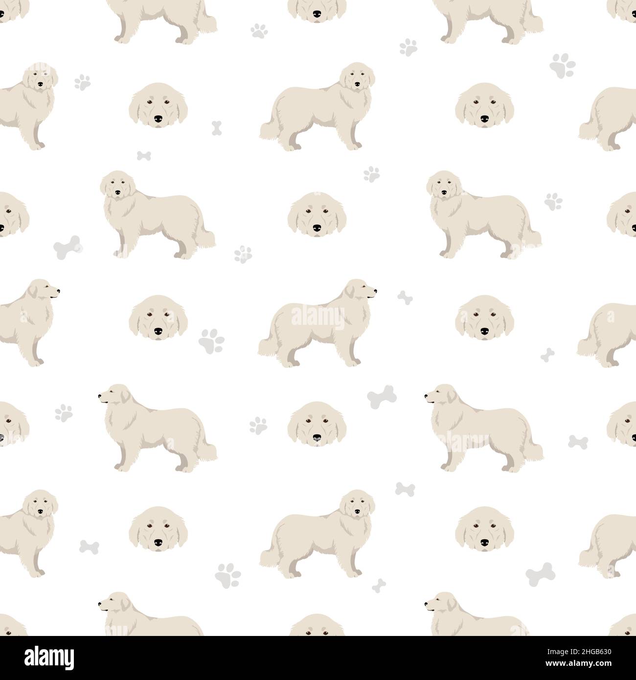 Great Pyrenees seamless pattern. Different poses, coat colors set ...