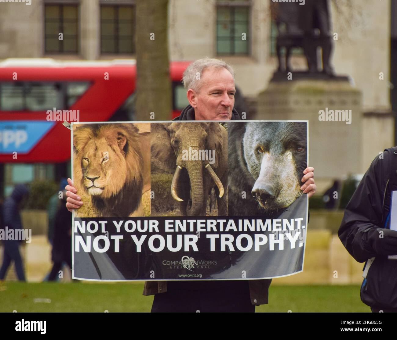 Lion trophy hi-res stock photography and images - Alamy