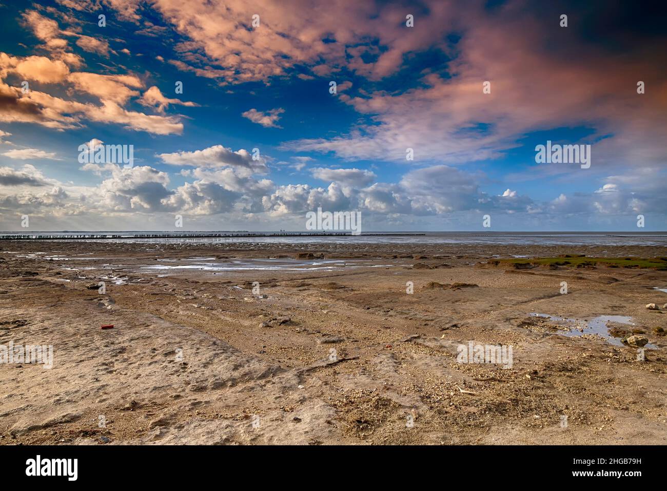 Beautiful view of the sea and breakwaters at low tide in Wierum in the ...