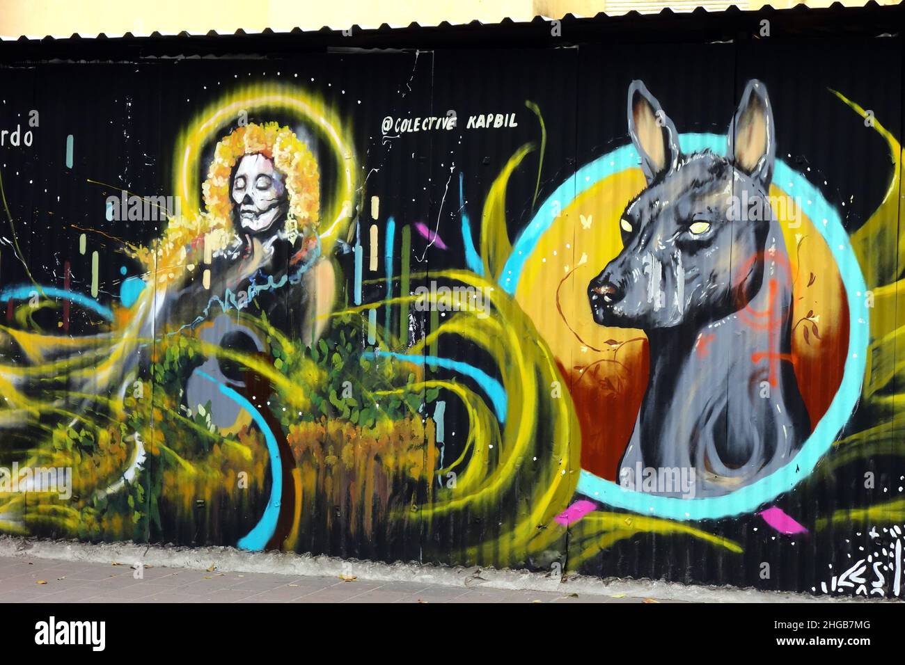 street art, graffiti, San Cristóbal de las Casas, state of Chiapas ...