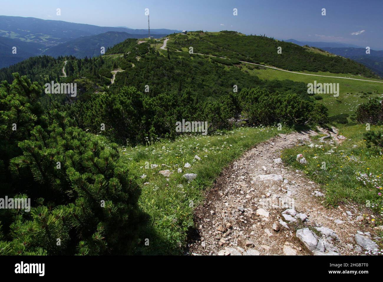 Landscape at hiking track to Schneealpe,Styria,Austria,Europe Stock ...
