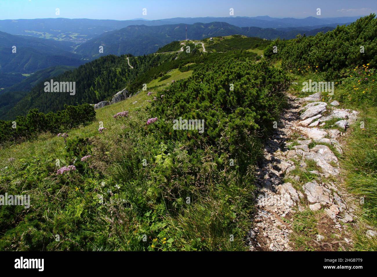 Landscape at hiking track to Schneealpe,Styria,Austria,Europe Stock ...