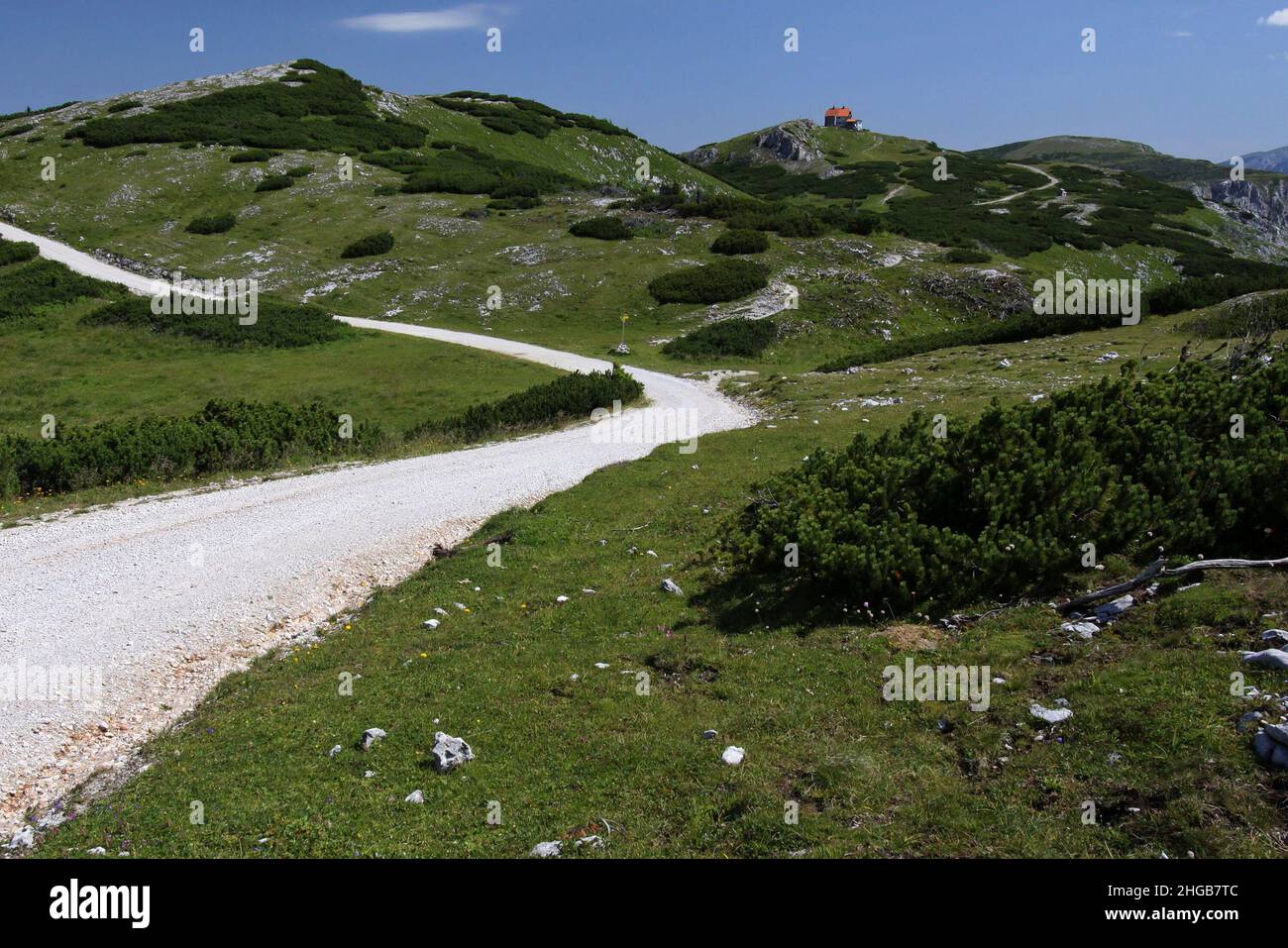 Landscape at hiking track to Schneealpe,Styria,Austria,Europe Stock ...