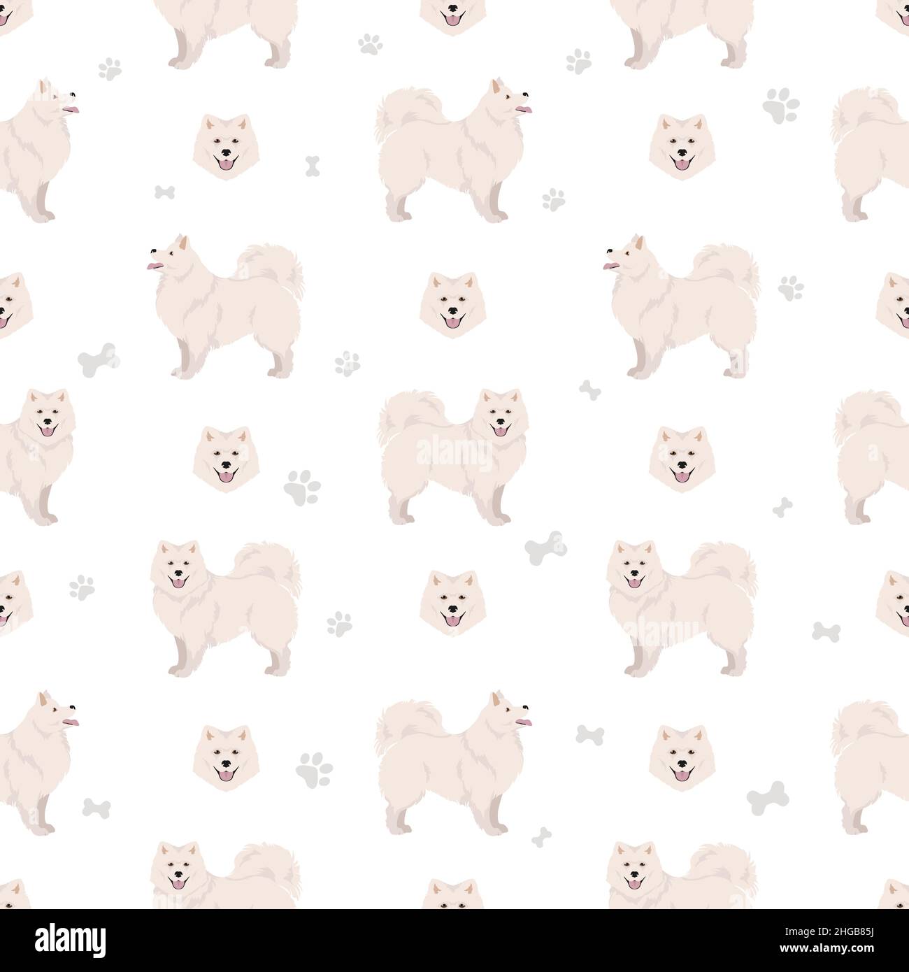 Japanese spitz vector vectors hi-res stock photography and images - Alamy