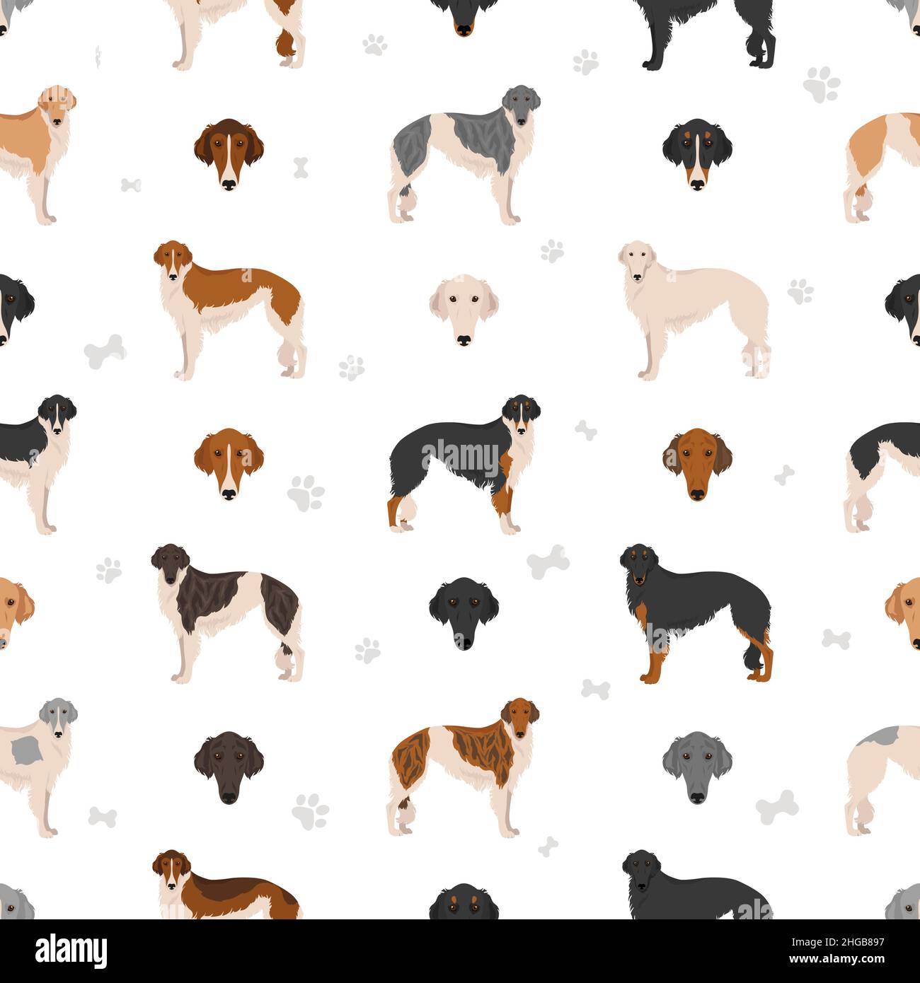 Russian canine greyhound Stock Vector Images - Alamy