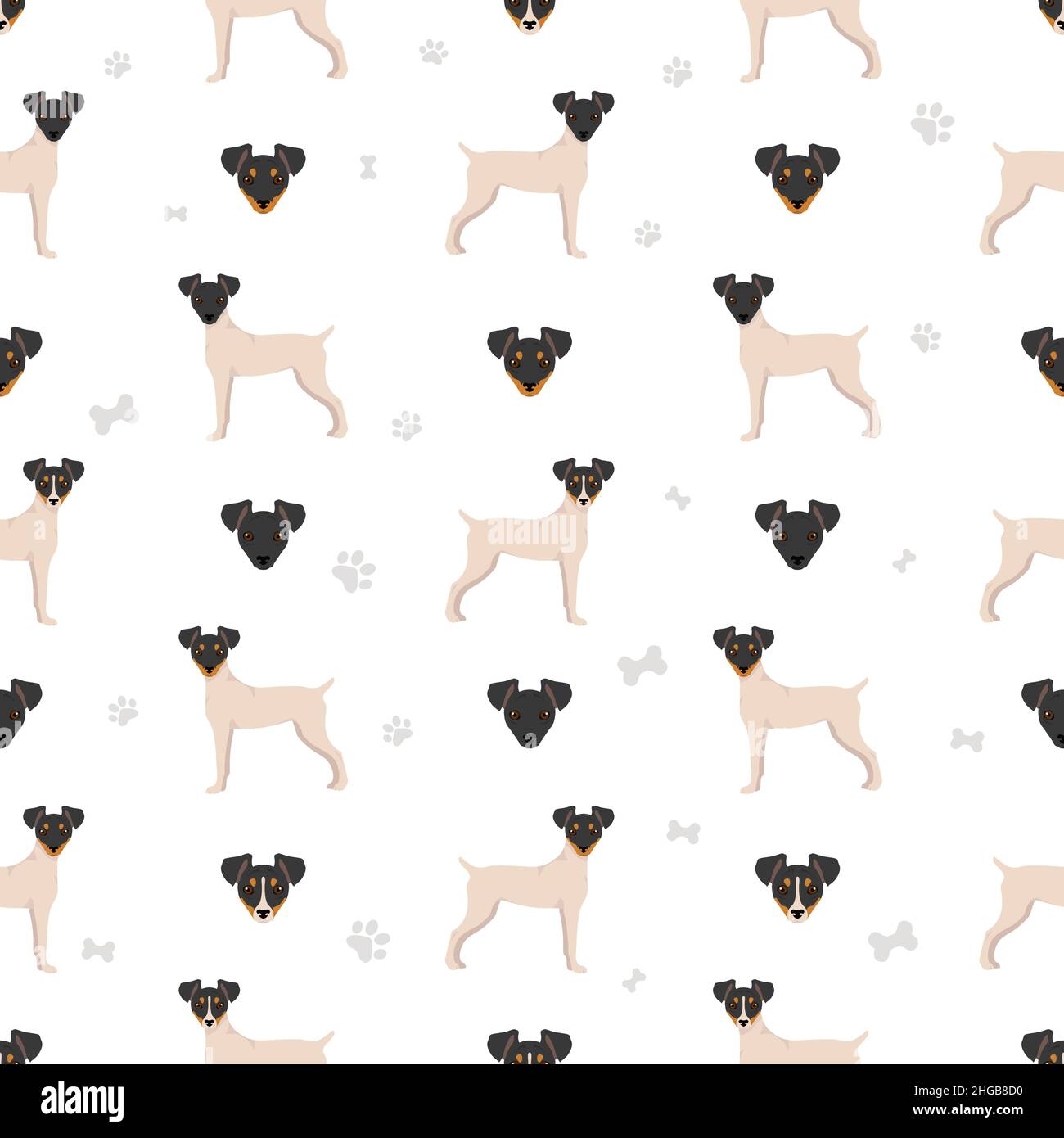 Japanese terrier seamless pattern. Different poses, coat colors set ...