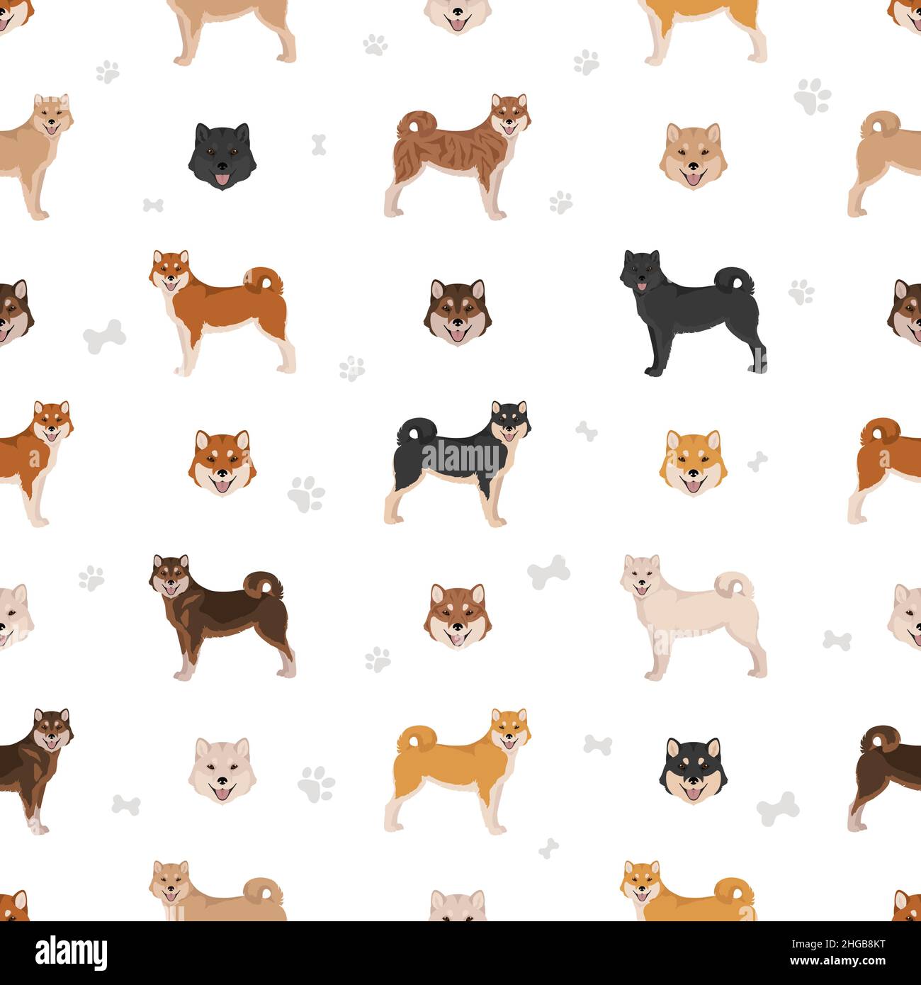 Hokkaido dog, Ainu dog seamless pattern. Different poses, coat colors ...