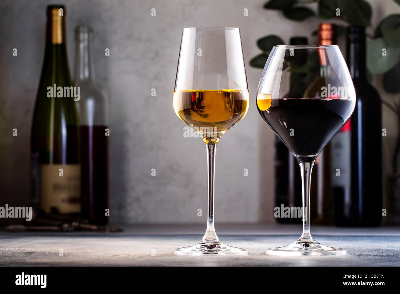 Wines assortment. Red, white, rose wine in glasses and bottles on gray ...