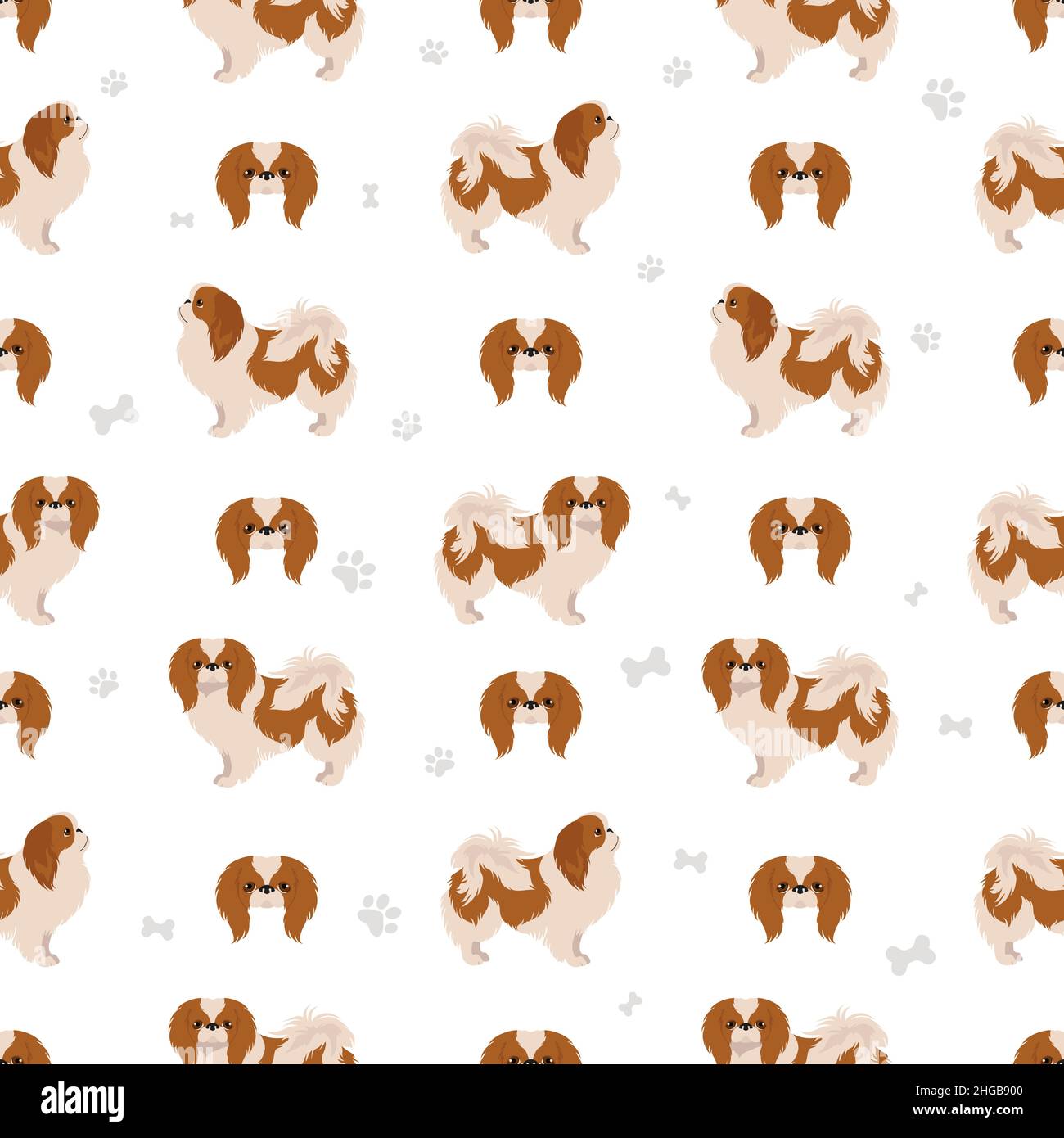 Japanese chin seamless pattern. Different poses, coat colors set ...