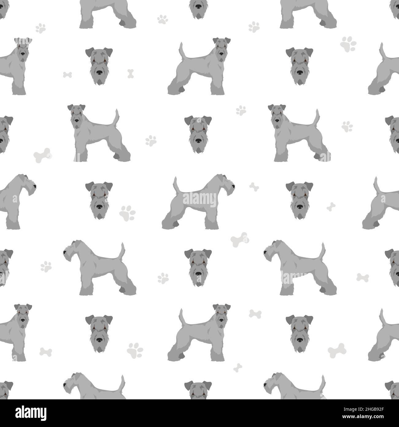 Kerry Blue Terrier seamless pattern. Different poses, coat colors set ...