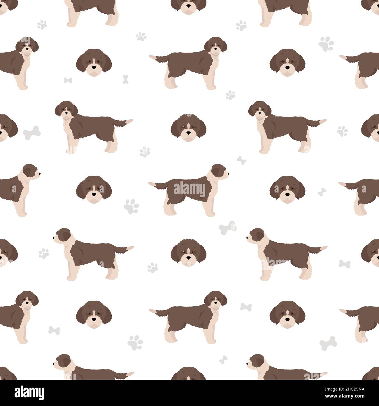 Lagotto Romagnolo seamless pattern. Different poses, coat colors set ...