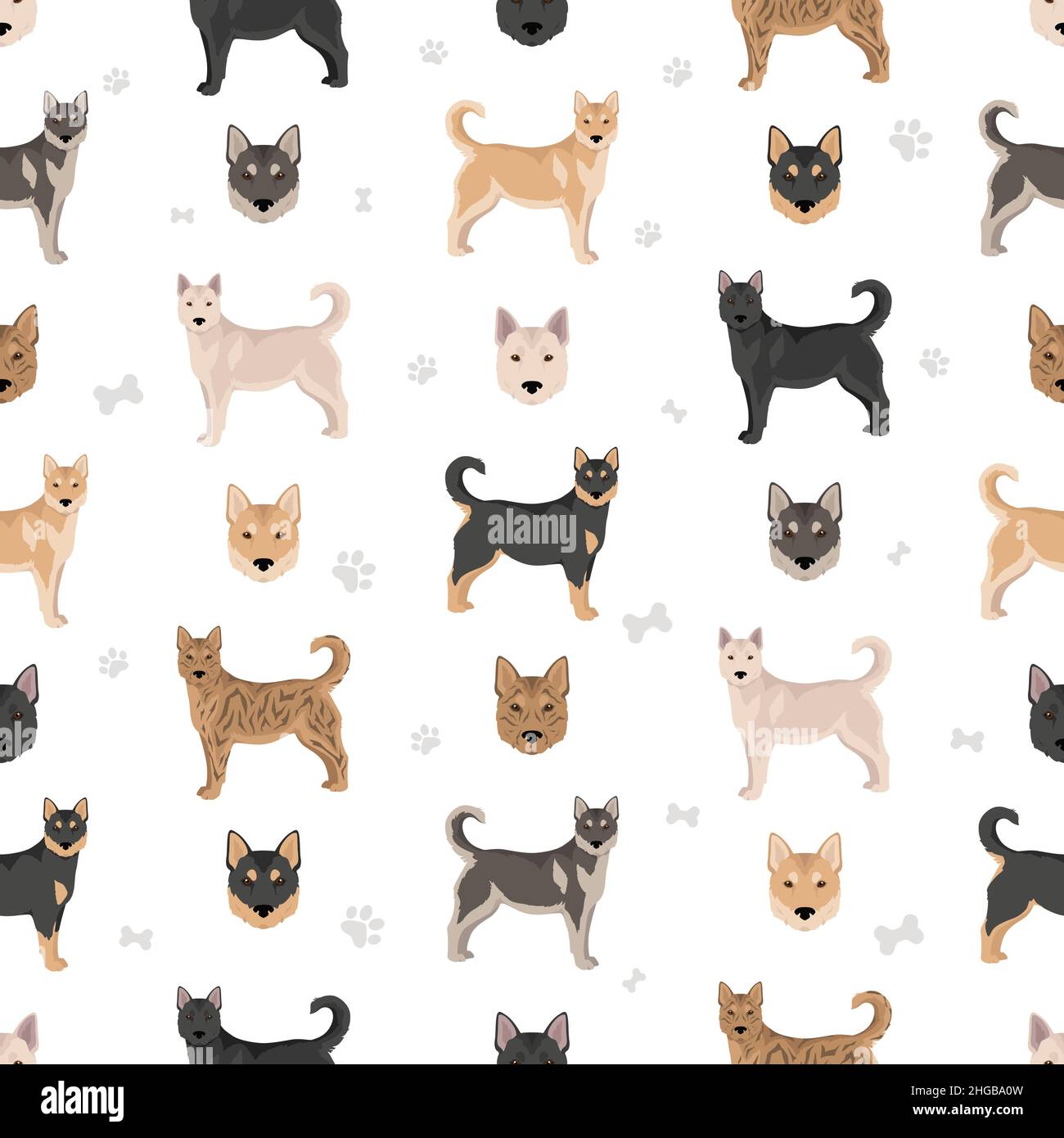 Korean Jindo seamless pattern. Different poses, coat colors set. Vector ...