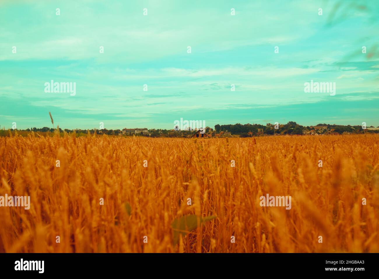 Colors daytime hi-res stock photography and images - Alamy