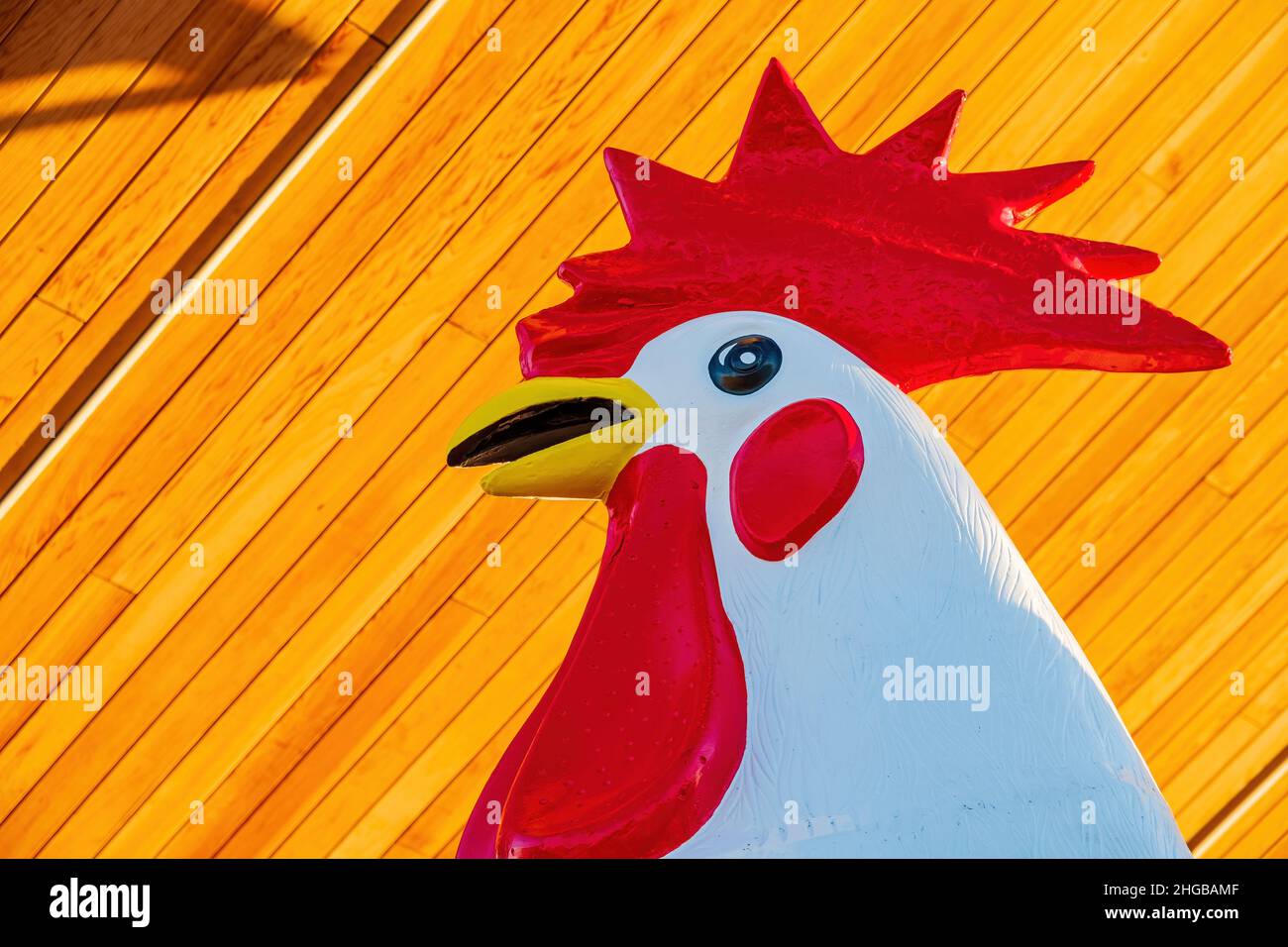 Big chicken hi-res stock photography and images - Alamy