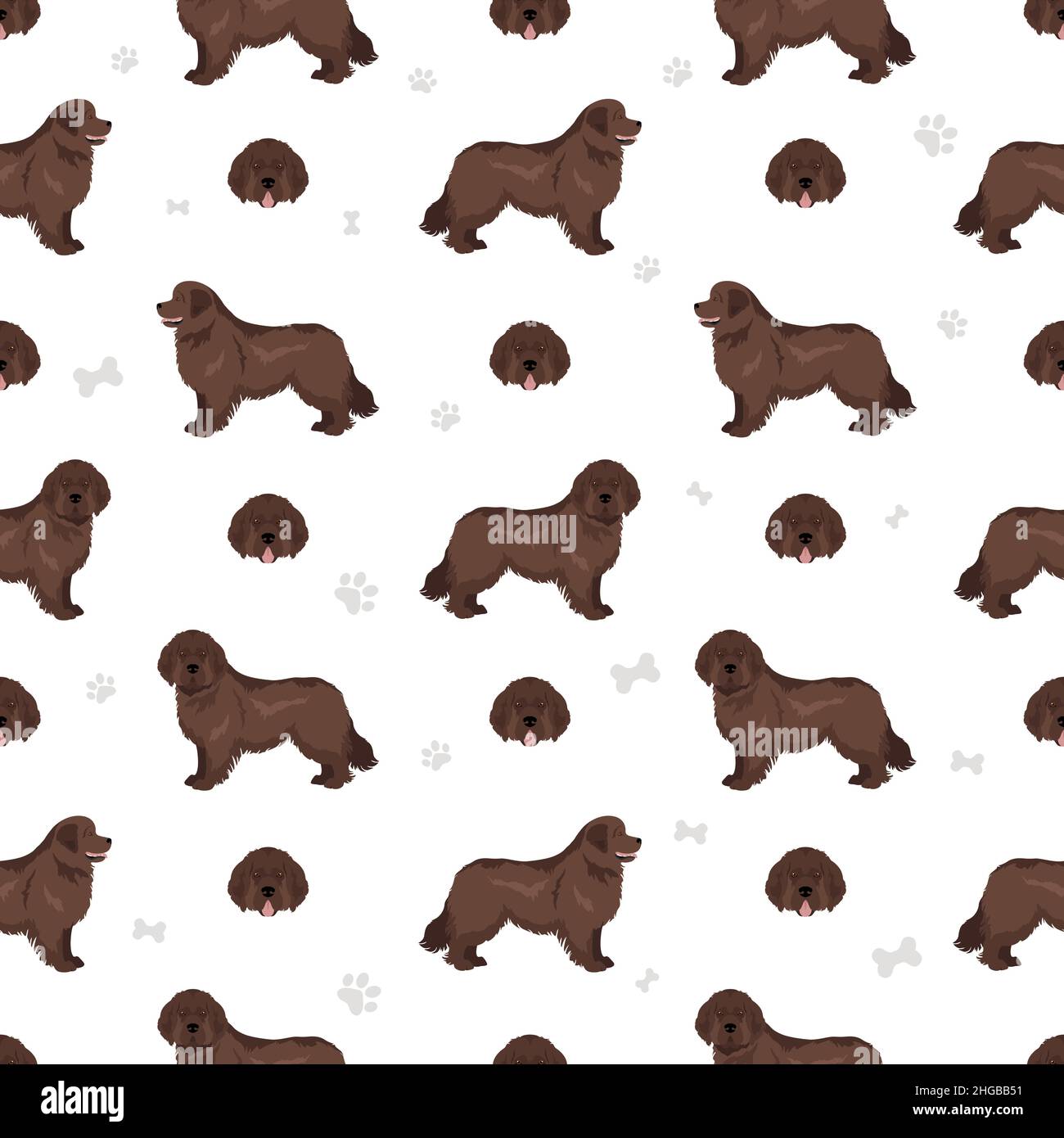 Newfoundland seamless pattern. Different poses, coat colors set. Vector ...