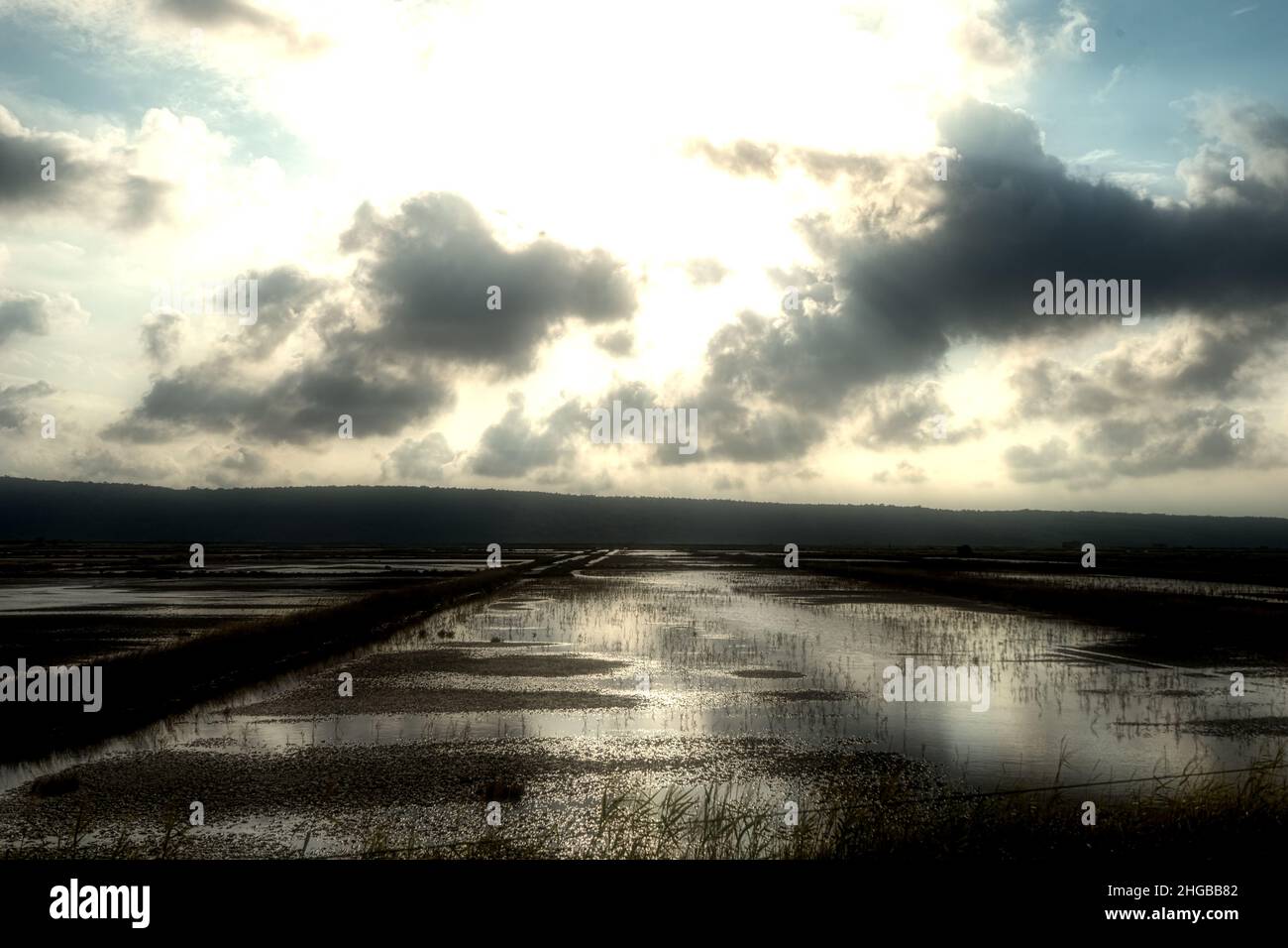 Piran salt pans in Slovenia Stock Photo - Alamy