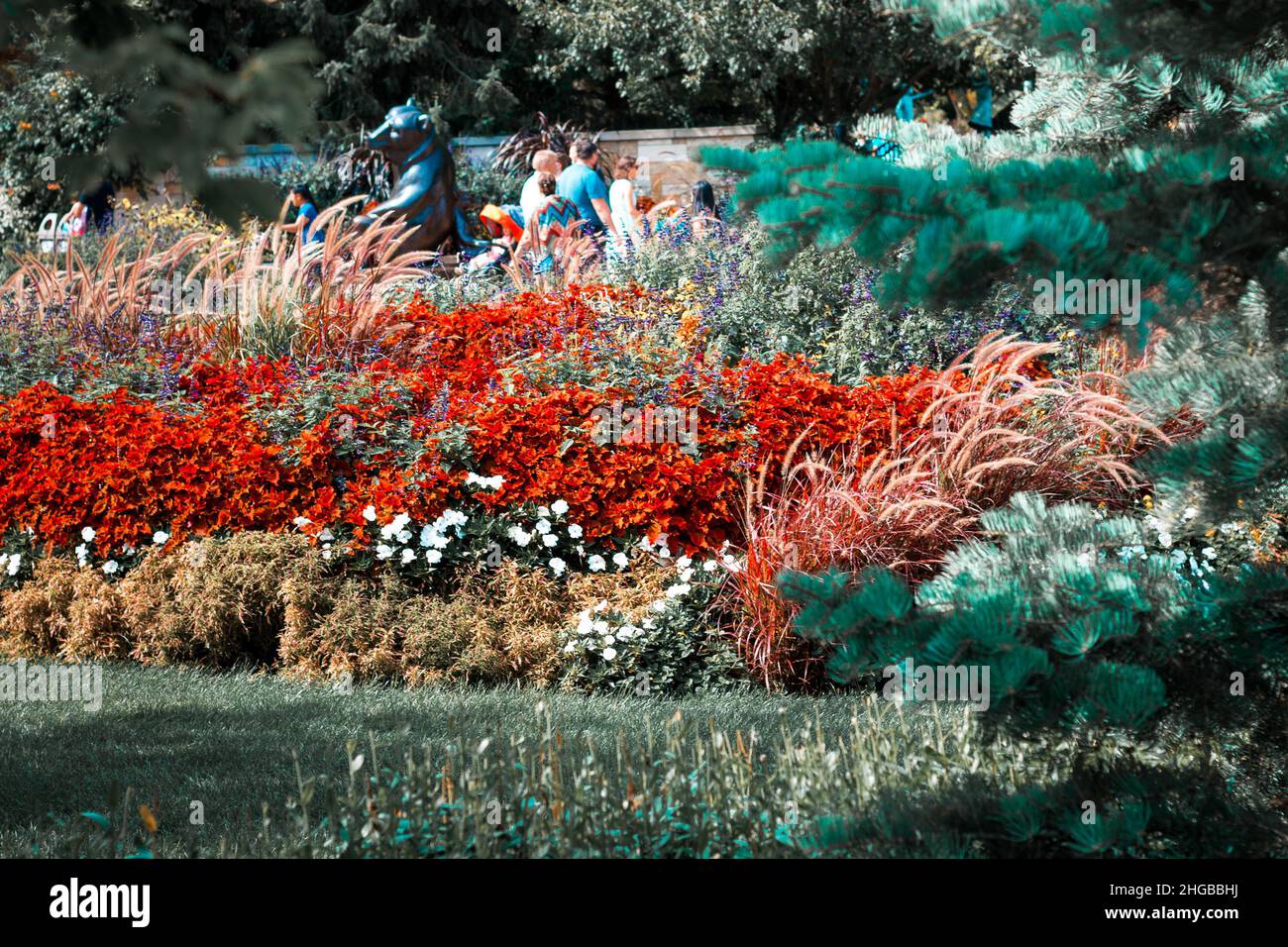 Flower beds in full hi-res stock photography and images - Alamy