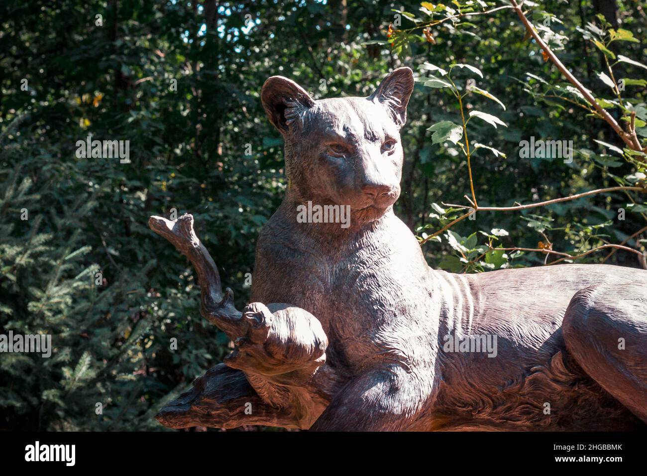 Puma statue in the gardens on a summer day Stock Photo - Alamy