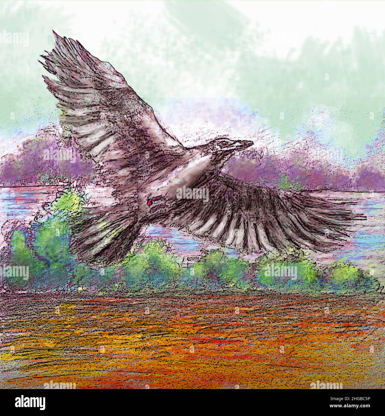 Exercise raven hi-res stock photography and images - Alamy