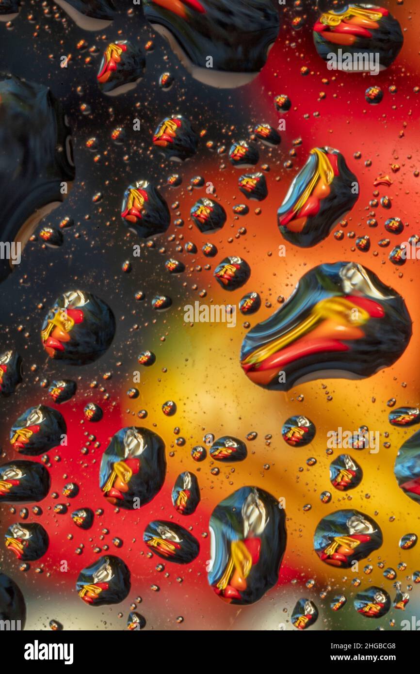 Creative food photography, high resolution fun sized peppers reflected ...