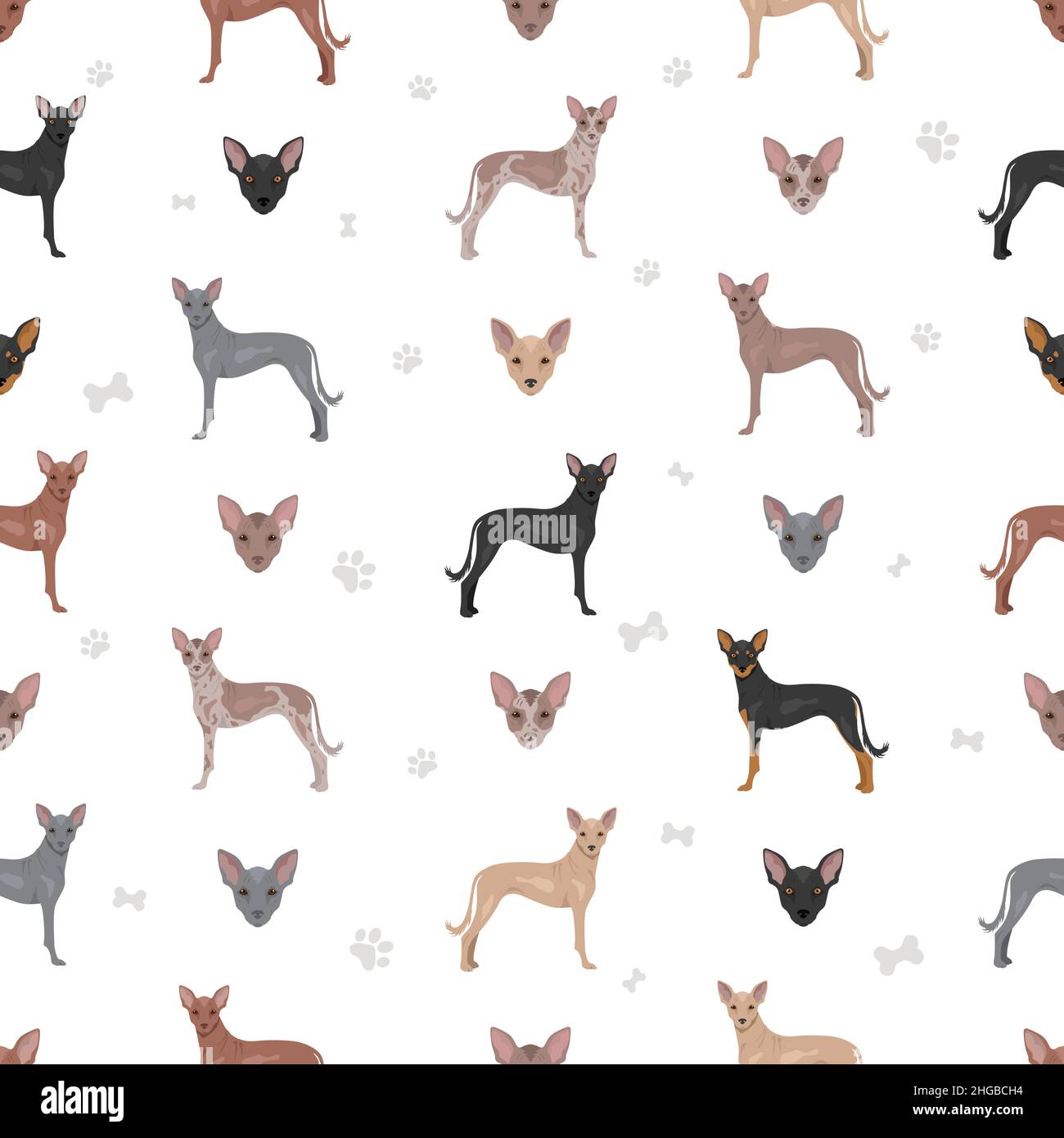 Xolo Stock Vector Images - Alamy